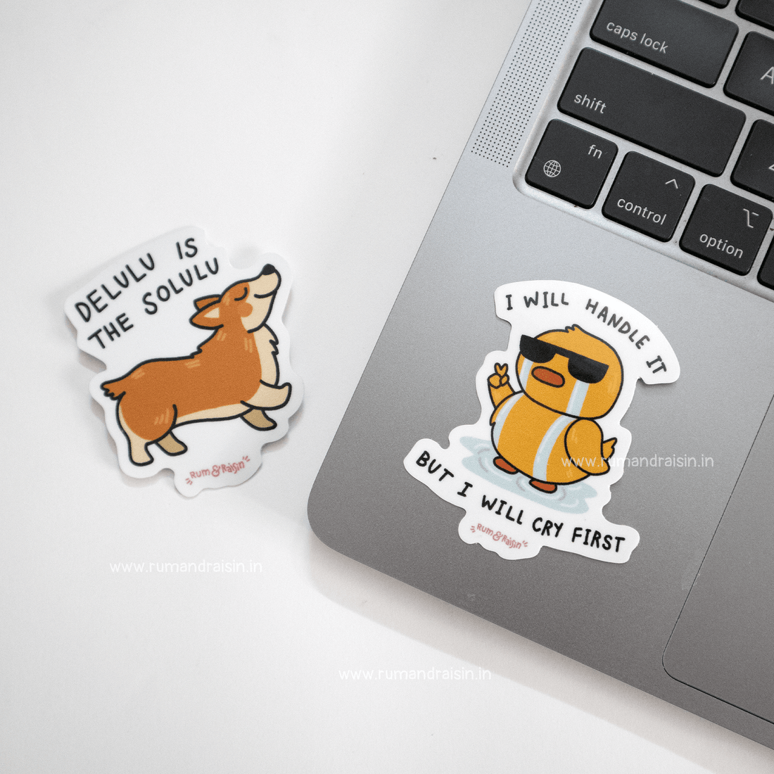 Viral Art Combo - Sticker Set – Rum and Raisin Studio